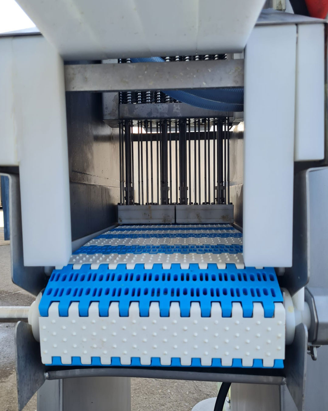 Dorit PSM 24 Injector | Meat machine SIND - Mala Vranjska, Sabac, Serbia